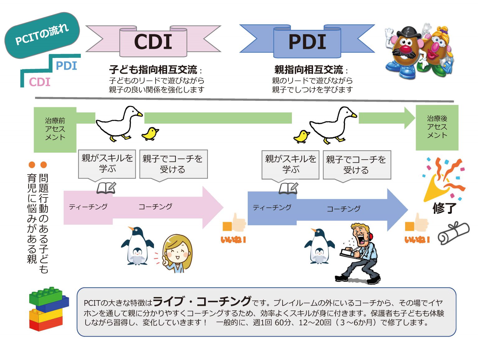 PCITの概略 – PCIT-Japan
